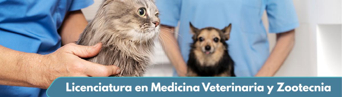Licenciatura en Medicina Veterinaria y Zootecnia | Centro Universitario ...
